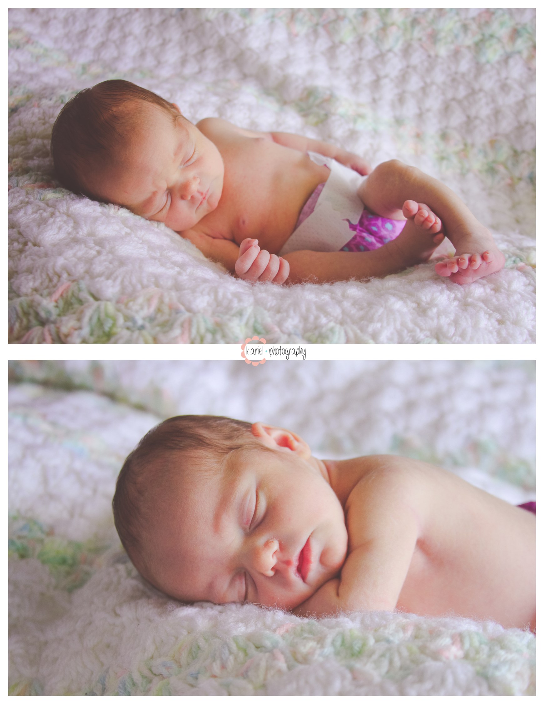 Katalina Rose | karielphotography